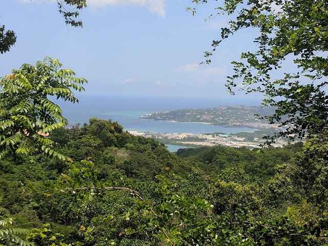 Best Things to do in Montego Bay | Must-see attractions 2025