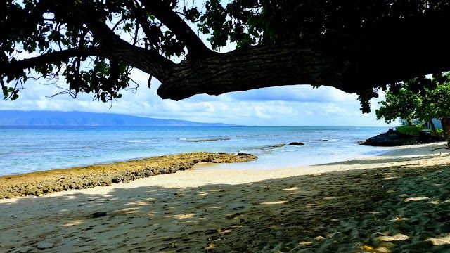 Best Things to do in Lahaina | Must-see attractions 2025