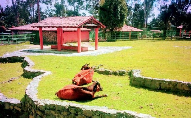 Best Things to do in Toluca | Must-see attractions 2025