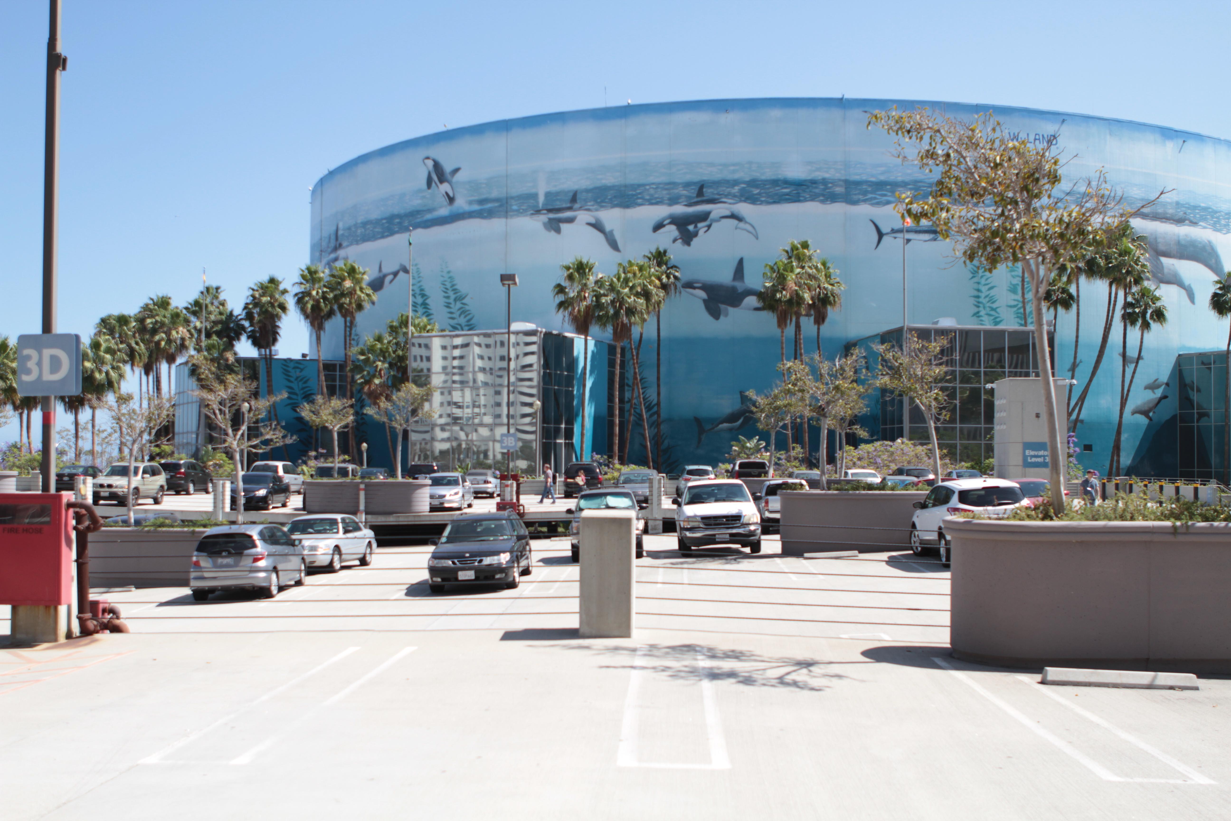 Best Things to do in Long Beach | Must-see attractions 2025
