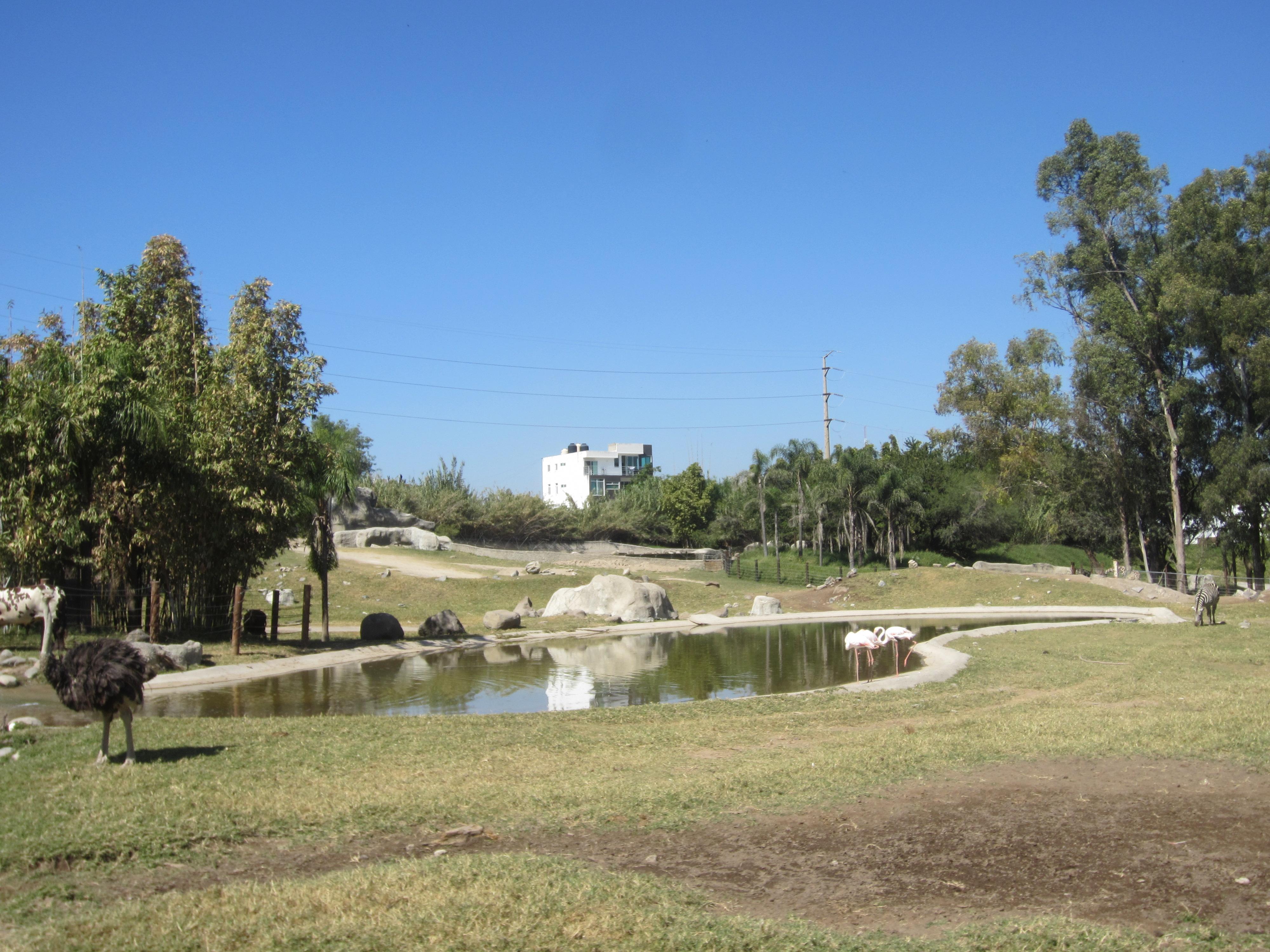 Tlaquepaque Pueblito Hotel Guadalajara, Mexico from 52US$ | 2025