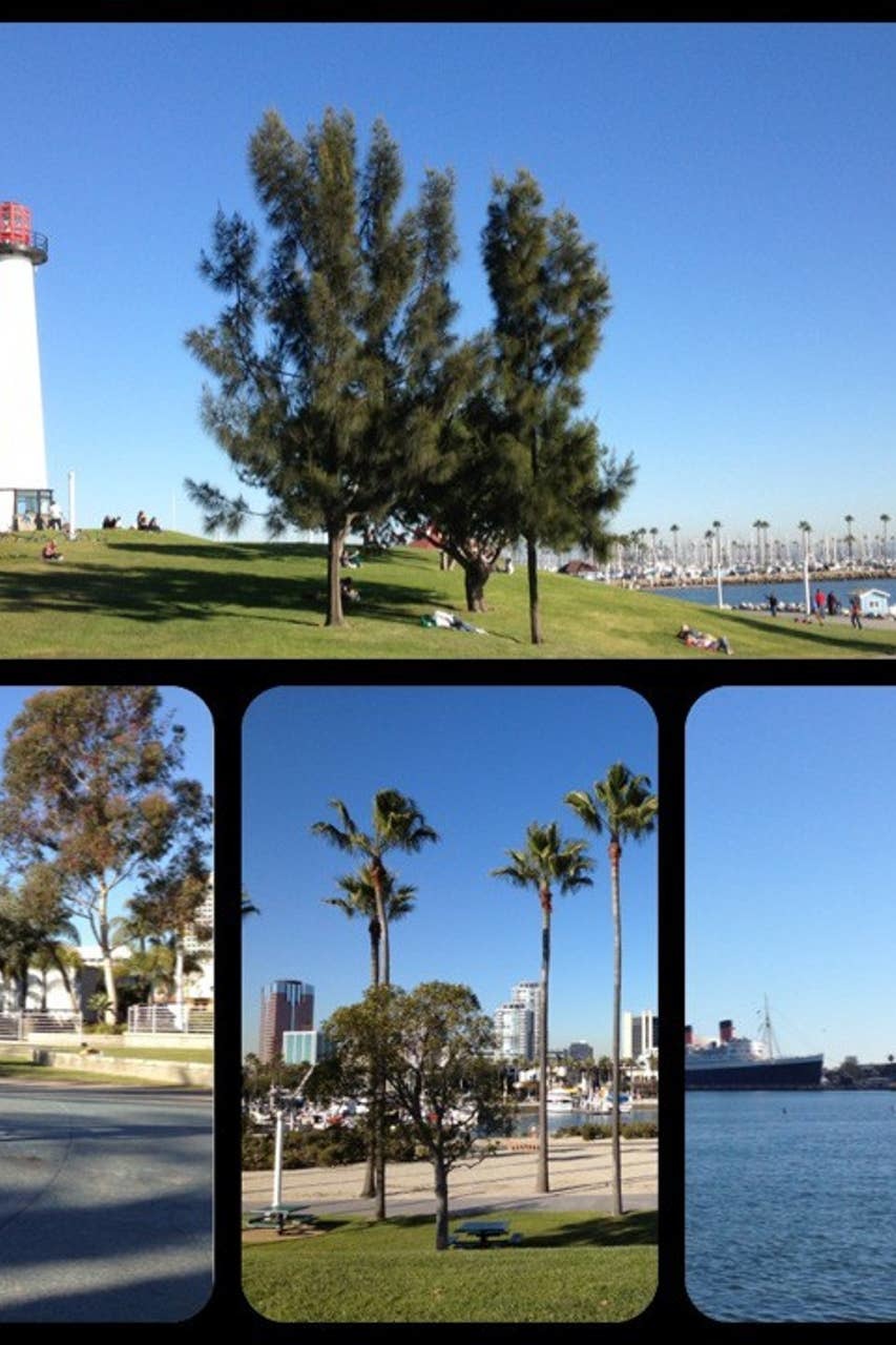 Best Things to do in Long Beach | Must-see attractions 2025
