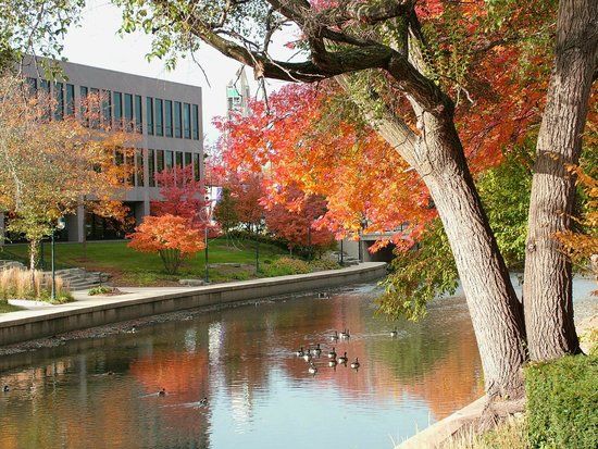 Best Things to do in Naperville | Must-see attractions 2025